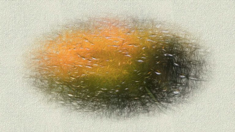 Data Swarms Revisited – New Modes of Being | Platypus