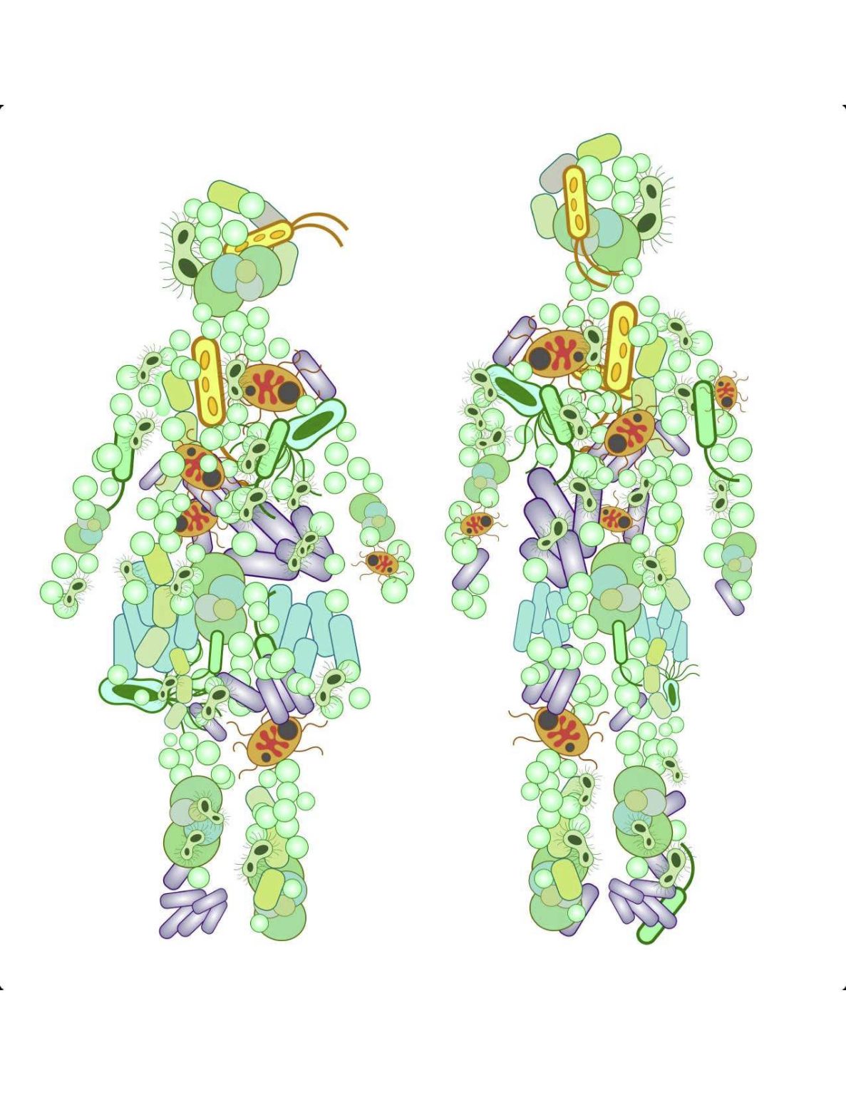 How Microbes Became Friendly: Visualizations of the Microbiome in ...
